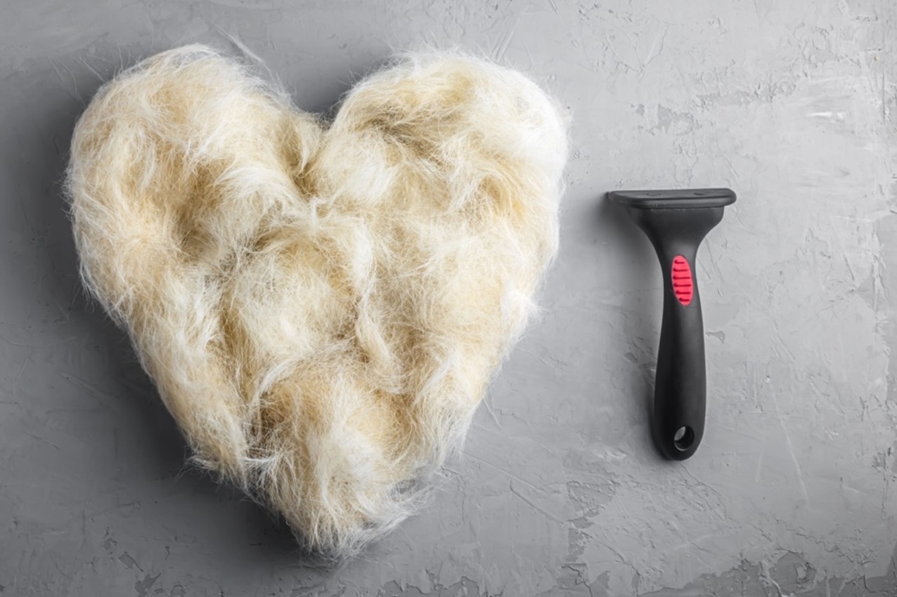 GROOMING FOR SPRING | Oven-Baked Tradition