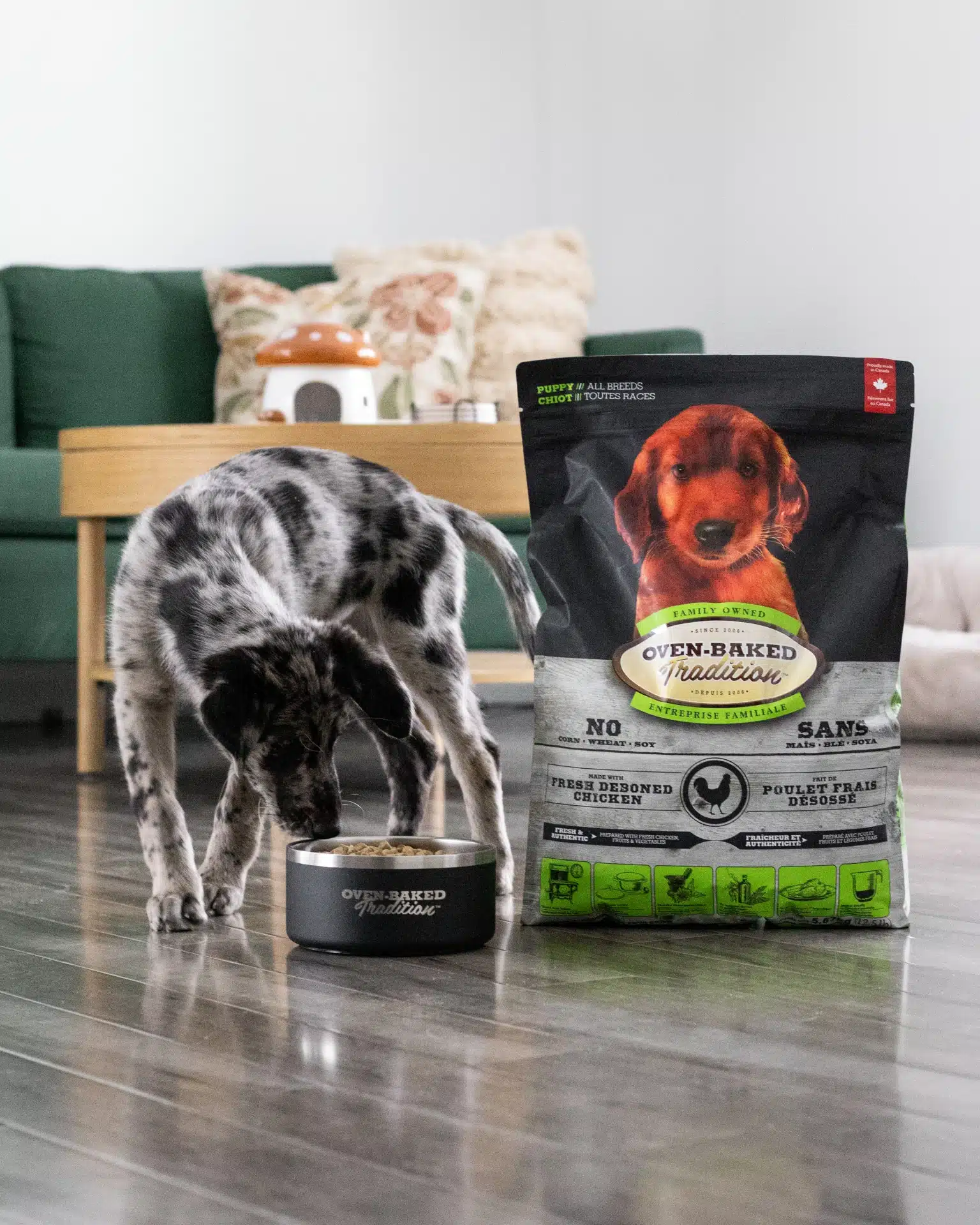 New Puppy Checklist: Essential Tips for a Healthy, Happy Start | Oven ...